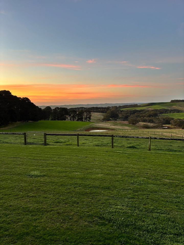 Six Pine Valley - Adelaide