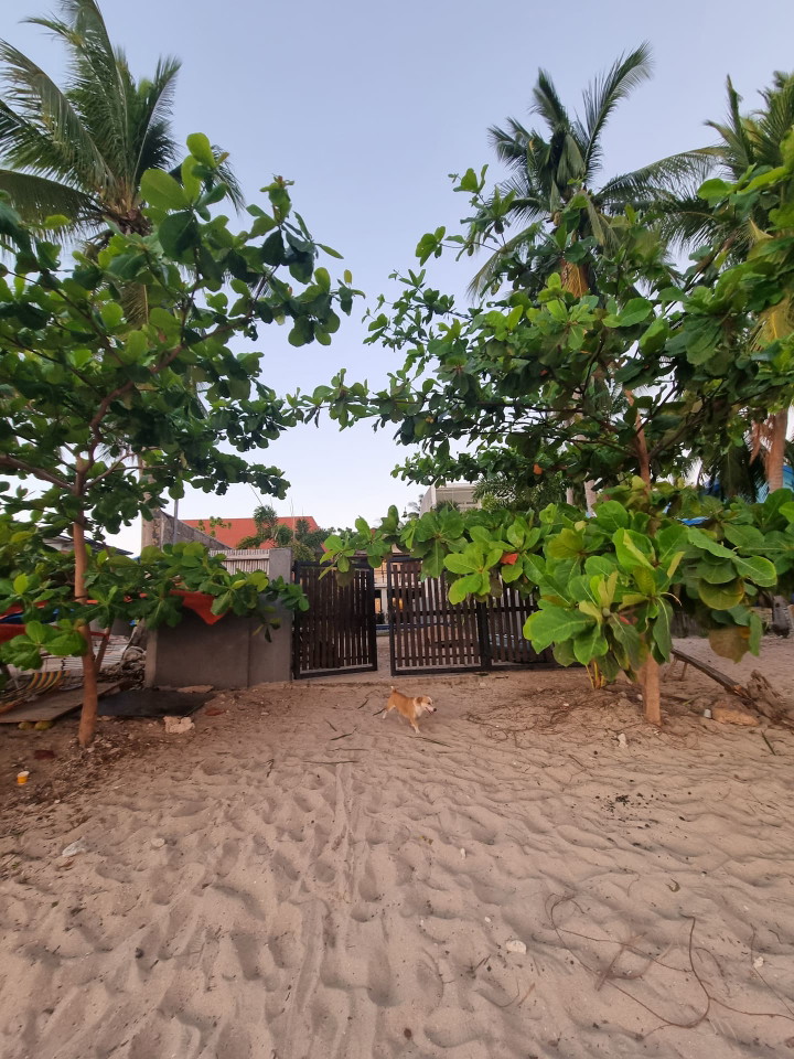 Costa Del Rey Beach Resort - Lobo