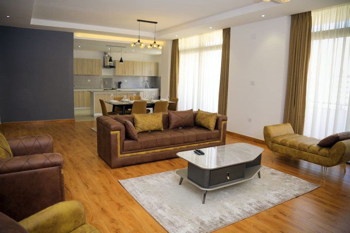 Penthouse De Luxe De 4 Chambres. (801) - Éthiopie