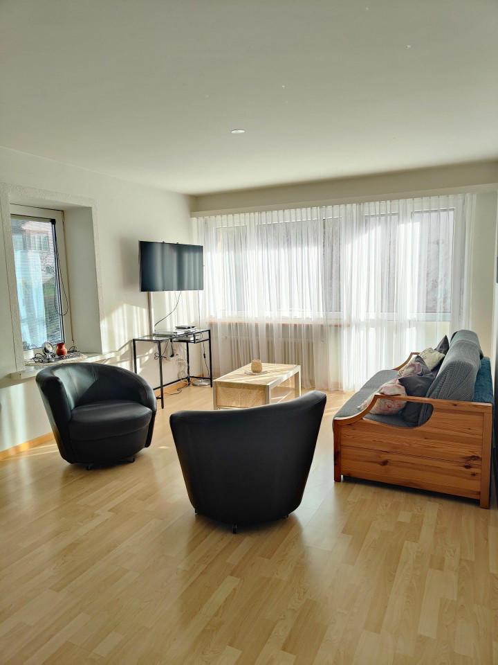 Enjoy Wintertime In Cosy Apartment - Canton de Saint-Gall