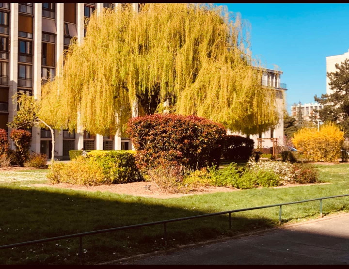 Appart Cosy à Meudon La Forêt - Meudon