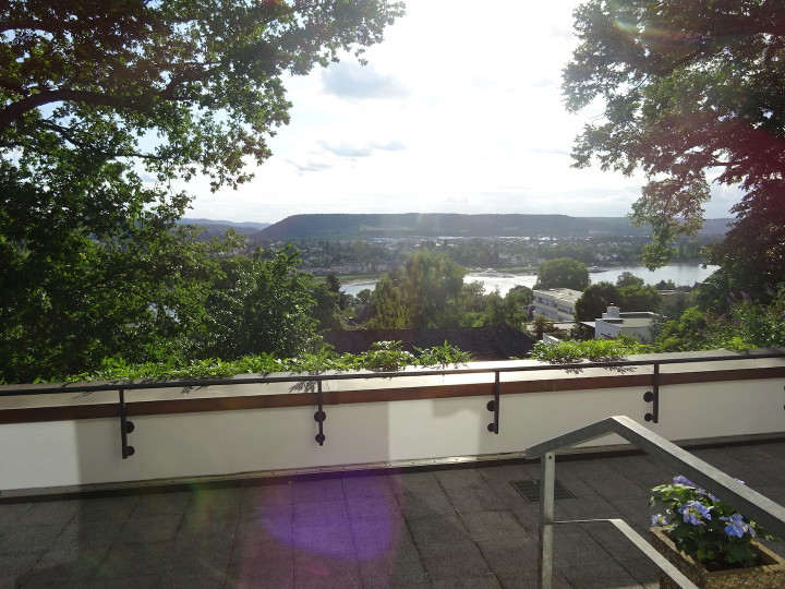 Appartement Avec Vue Sur Le Rhin à Linz Am Rhein - Unkel