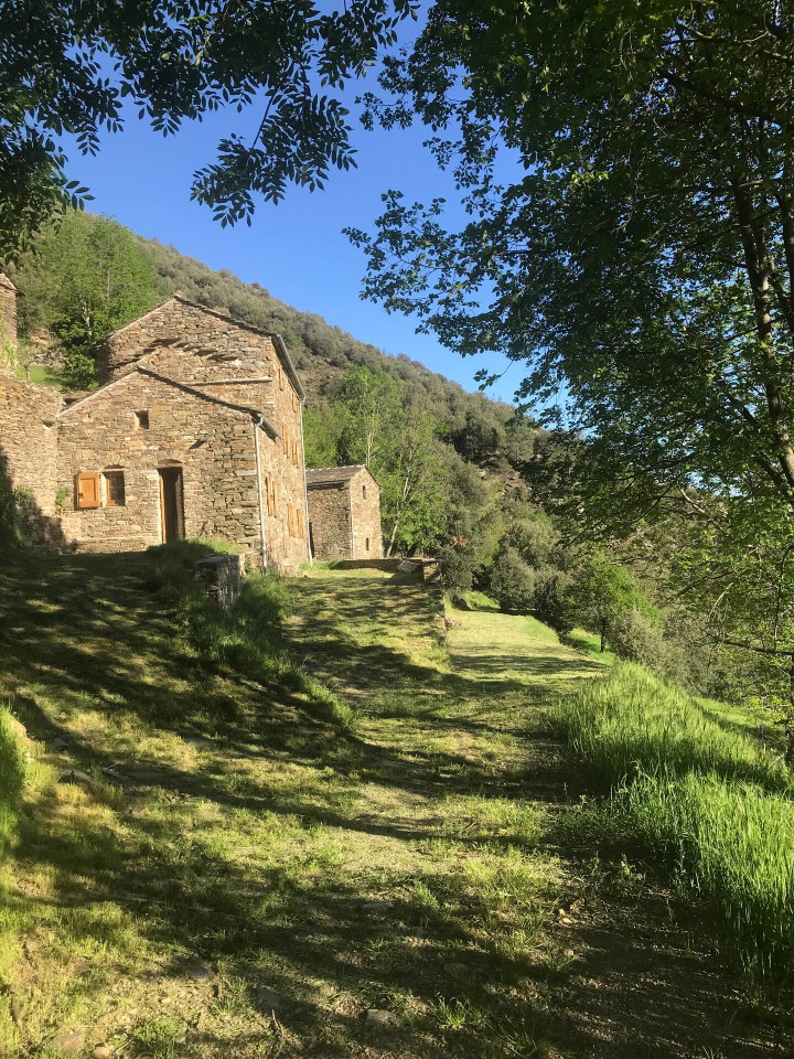 La Pellegrine,  Parc National Des Cévennes, Gîte - France