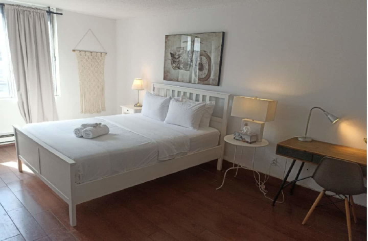 Cozy 1br In The Heart Of Downtown - Lasalle