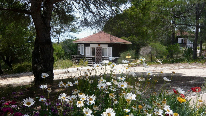 Breathe In Pines & Oaks Nature At Rondette No. 2 - District de Faro