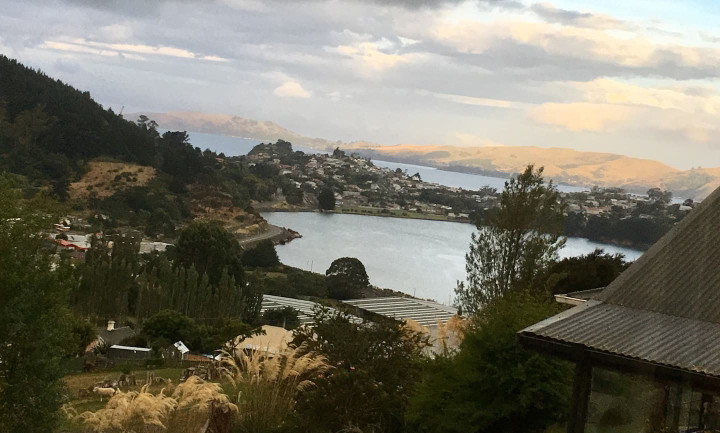 Harbour Heights - Dunedin