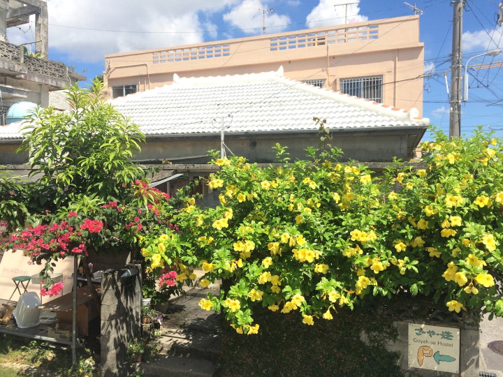古民家に泊まり三線レッスンも体験。ごーやー荘- Goyah-so Minsyuku Hostel -