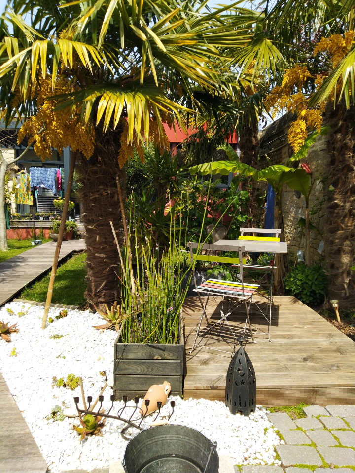 Maison Tortue Avec Son Jardin Exotique - Caen