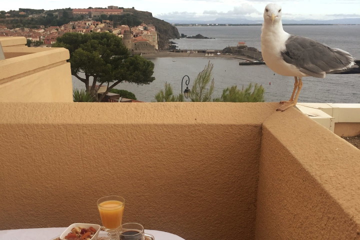 Cosy-vue Sur Baie Et Clocher-clim-piscine-parking - Collioure