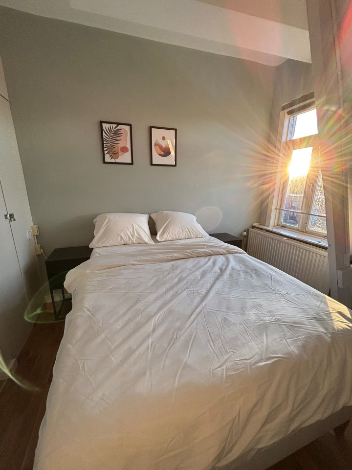 2 Bedroom Suite, Amsterdam Zuid - Amsterdam