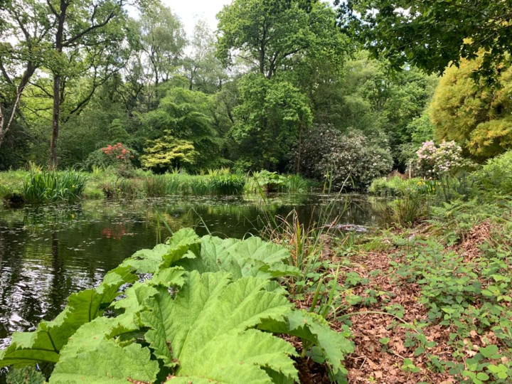 Gorgeous Secluded Jurassic Coast Getaway Nr Lyme - England