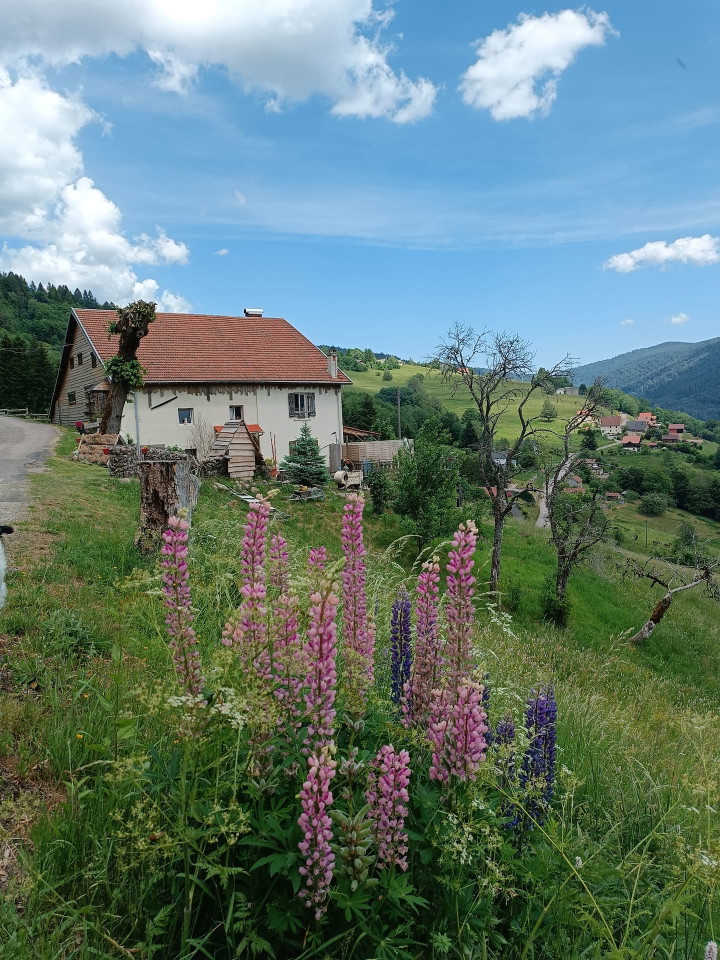 Gite Chez Jf Et Isa - Saulxures-sur-Moselotte