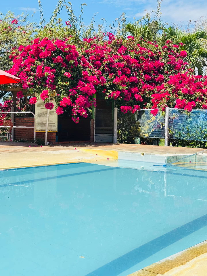 Finca Ecoturística | Piscinas Y Naturaleza - Ibagué
