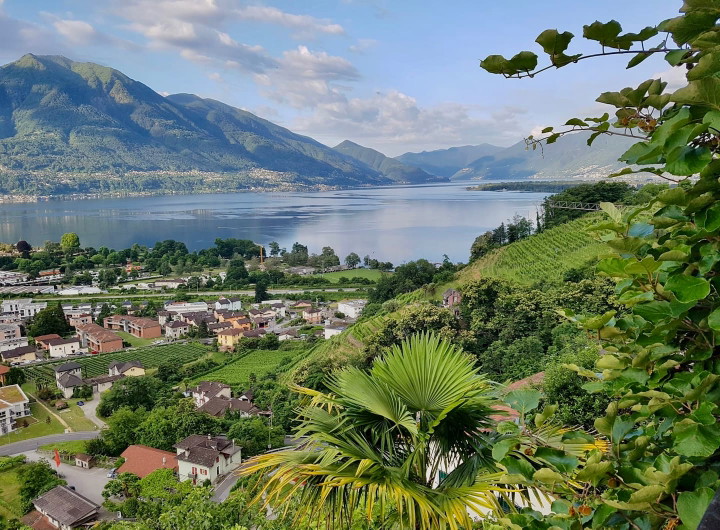 Margarita Overlooking Lake And Mountains - Tenero-Contra