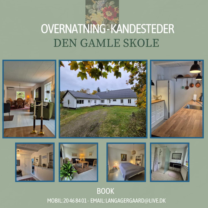 The Old School - Oasis In The Middle Of Nature - Skagen