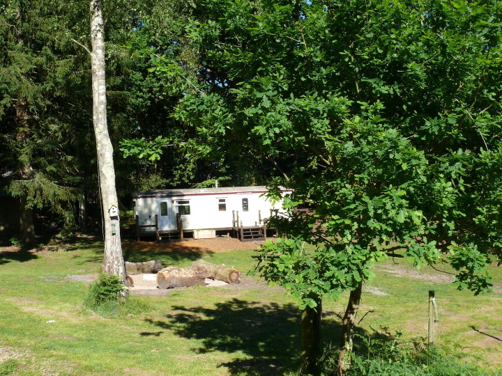 Cabin In The New Forest - New Milton