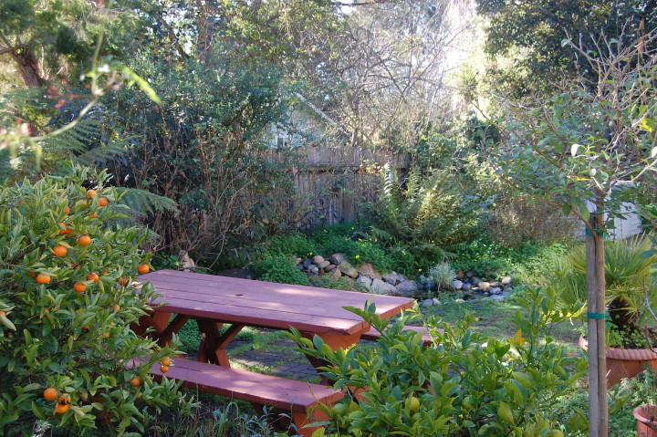 Jade Studio By Beach At Jasmine Garden Oasis - Santa Cruz, CA