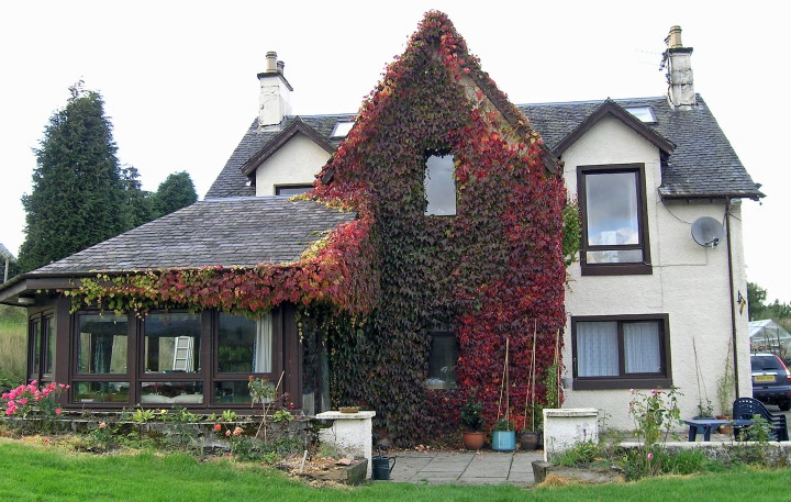Twin Room - Spean Bridge