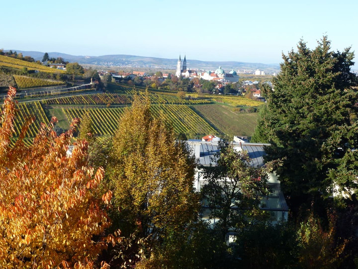 Appartement In Klosterneuburg Nahe Bei Wien - Klosterneuburg