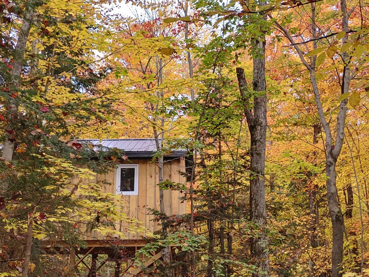 Treetop Rentals - Unit 2 - Ontario 60
