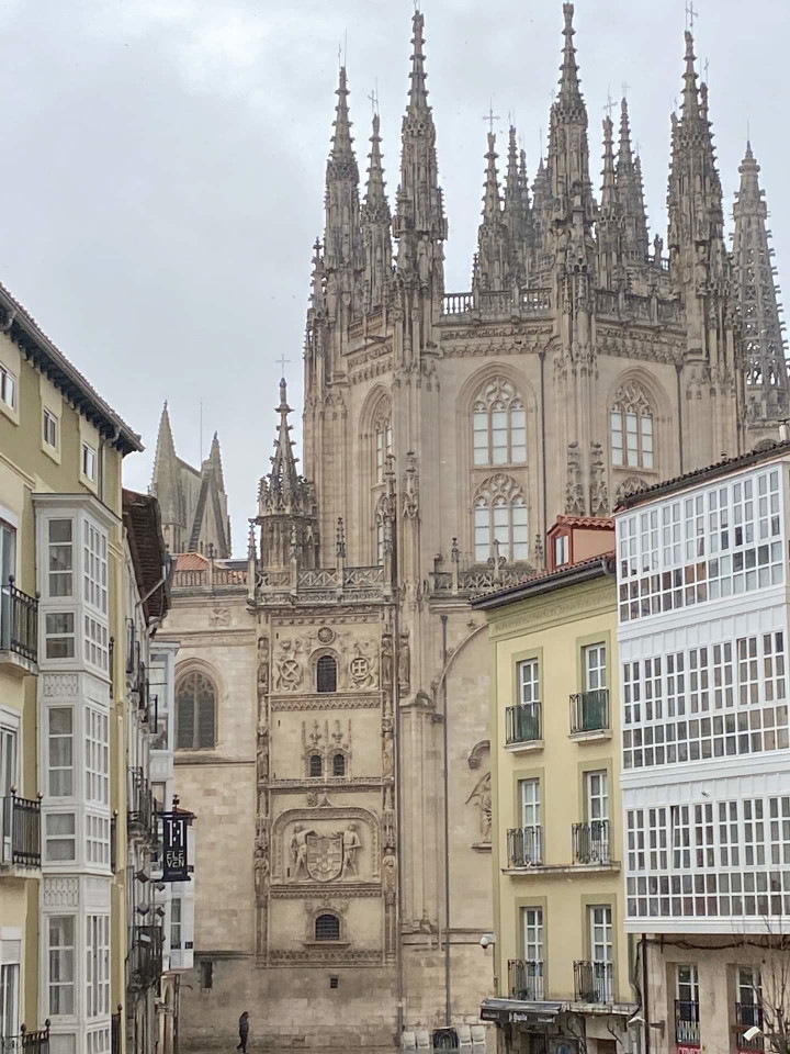 Apartamento Suite Fuente De La Flora - Burgos