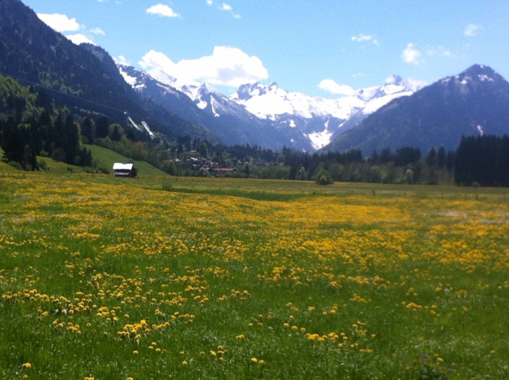 Direkt Oberstdorf Ort Sommer Sonne Wandern Zug - Oberstdorf