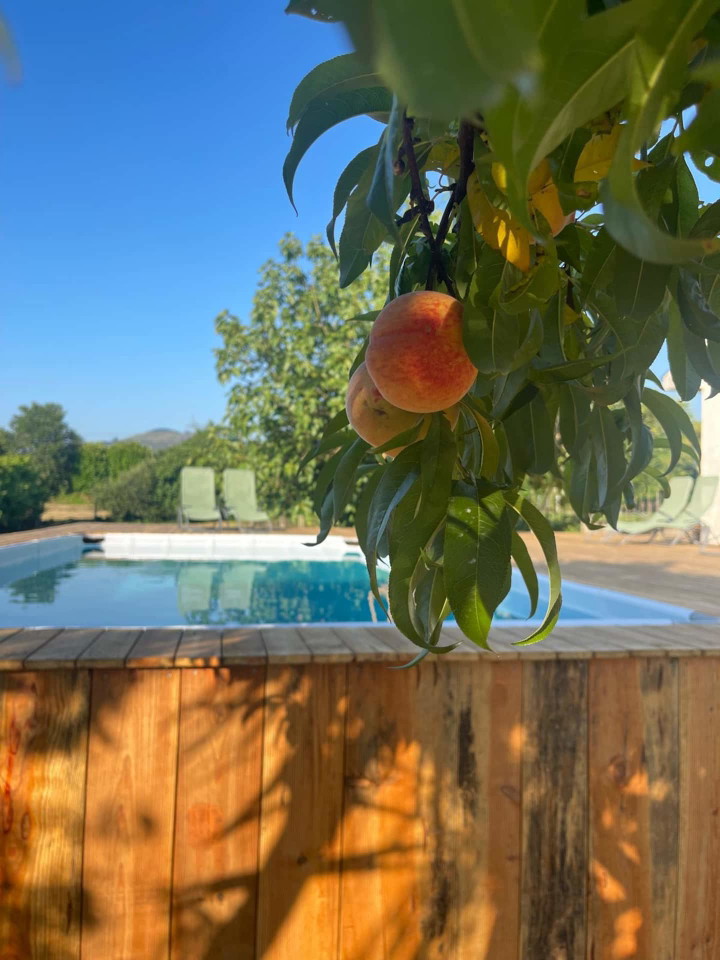 Souto Guimarães Country House - Guimaraes