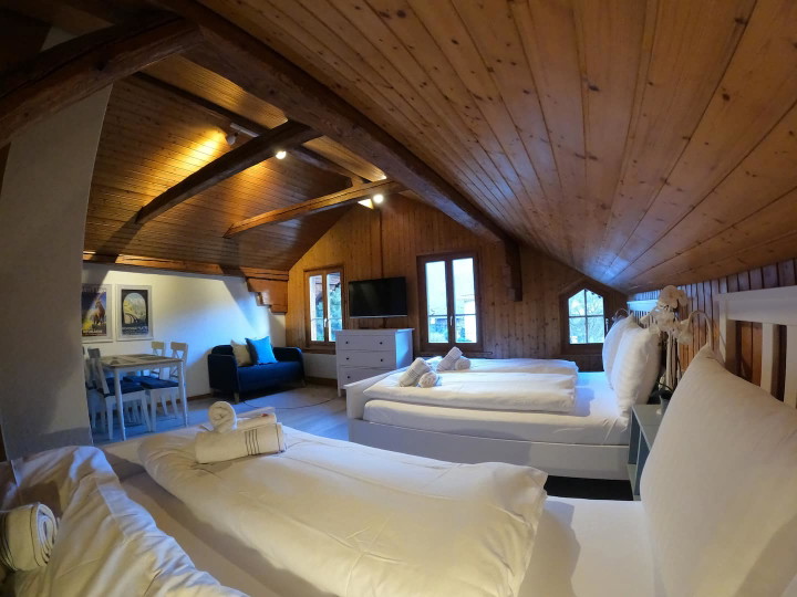 Panorama Apartment - Wengen BE