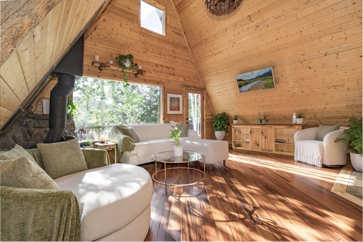 Fairytale Pine Cabin - Evergreen, CO
