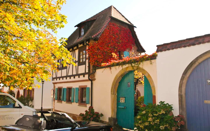 Romantischer, Historischer Winzerhof - Landau