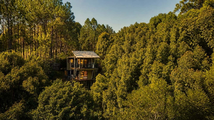 Ecoasis Morning Mist Chalet Romantic Rainforest - Murwillumbah