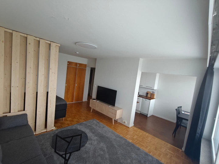 A Neat Apartment In The City Center - Lahti