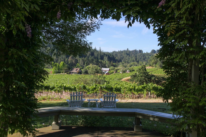 Vistas Insuperables Dentro Y Hacia Fuera En Esta Vineyard Estate 3-acre - Sebastopol, CA