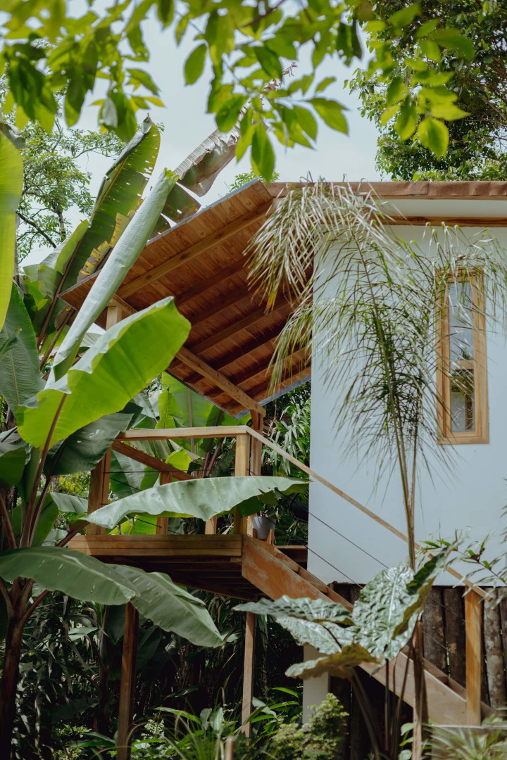 Cinco Cerros | Banana Cabin - Ecuador