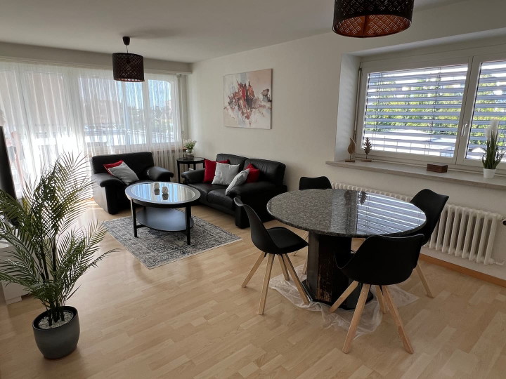 Zug City 3-zimmer Wohnung Ideal Für Expats - Zoug