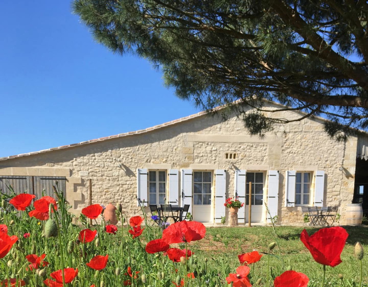 Nuit Au Vignoble, Petit-déjeuner, à La Soleillade - Saint-Émilion