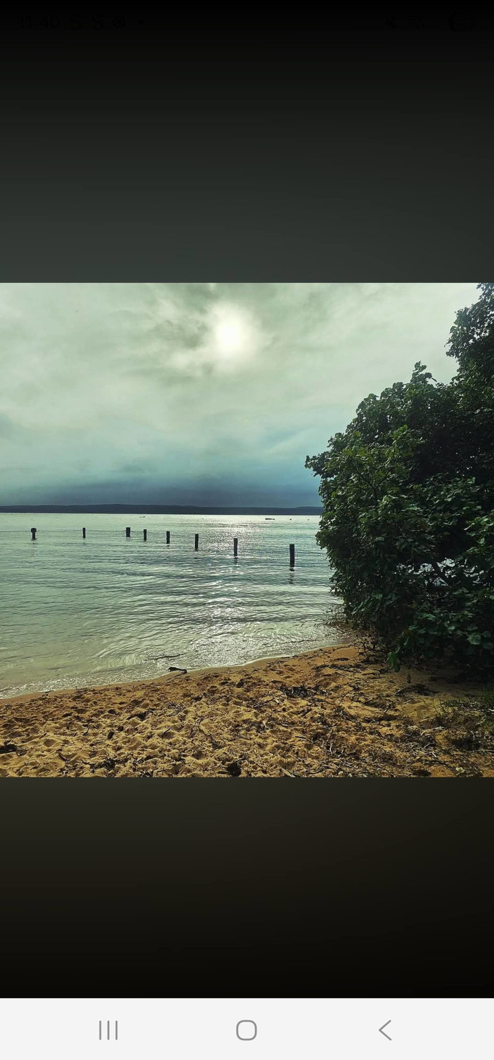 Mother-of-pearl - North Stradbroke Island