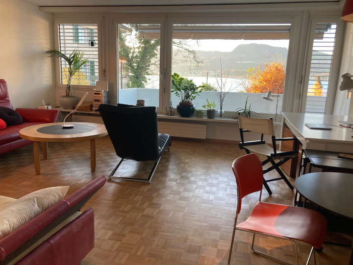 65 M2, Balcony & Lake Views - Rapperswil-Jona