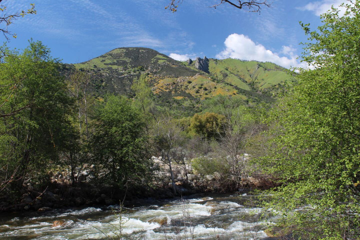 Benjamin's Riverside Hideaway - Three Rivers, CA