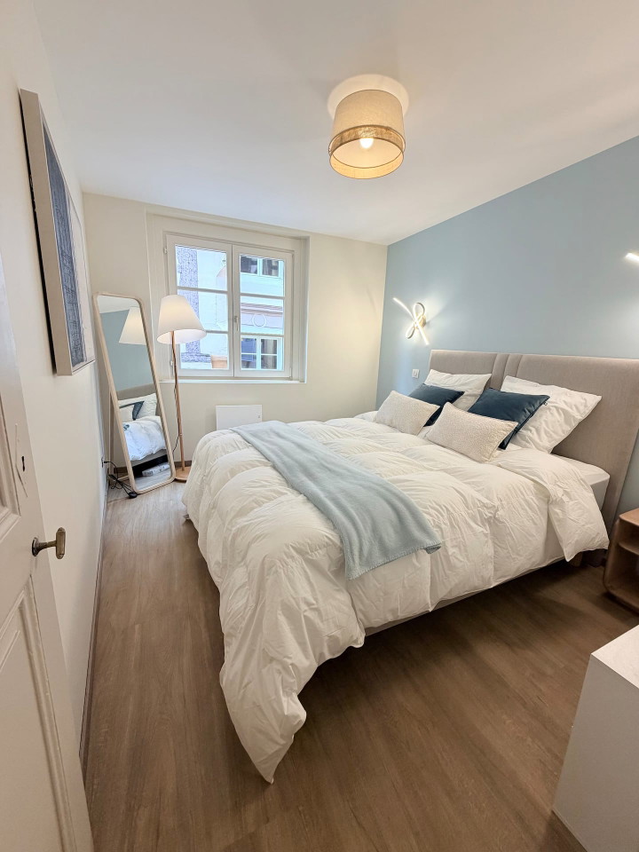 Azur - Charme Et Confort - Gîte Climatisé à Colmar - Colmar