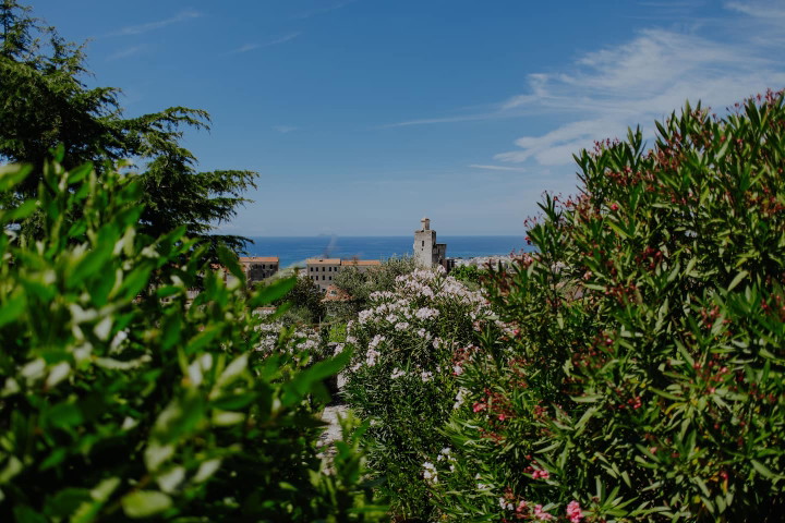 Mareterra Panoramic Eco-suite - Terracina