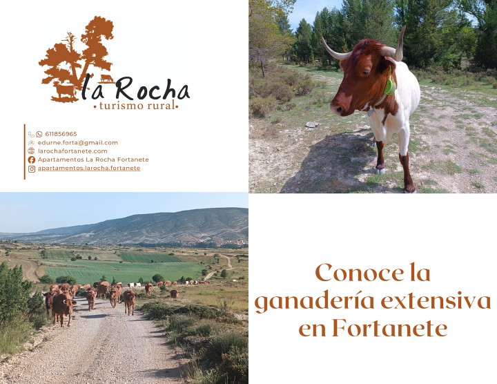 La Rocha Apartments, Fortanete: Apartment 2. - Valdelinares
