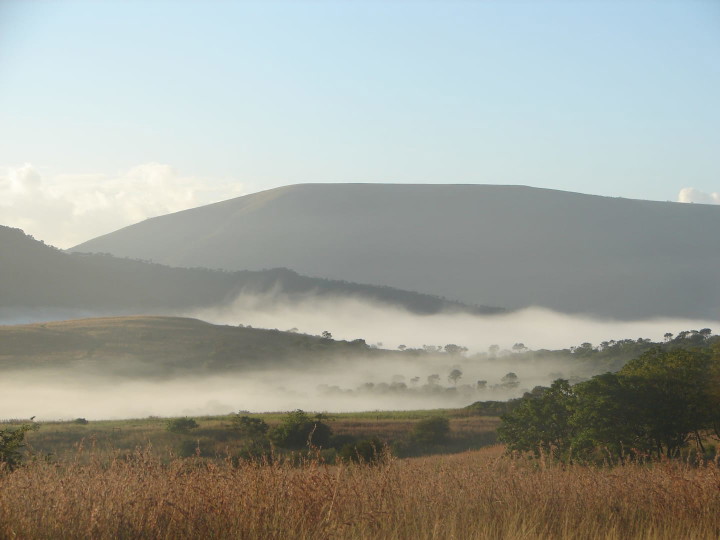 Mimi Moya Game Farm - Piet Retief
