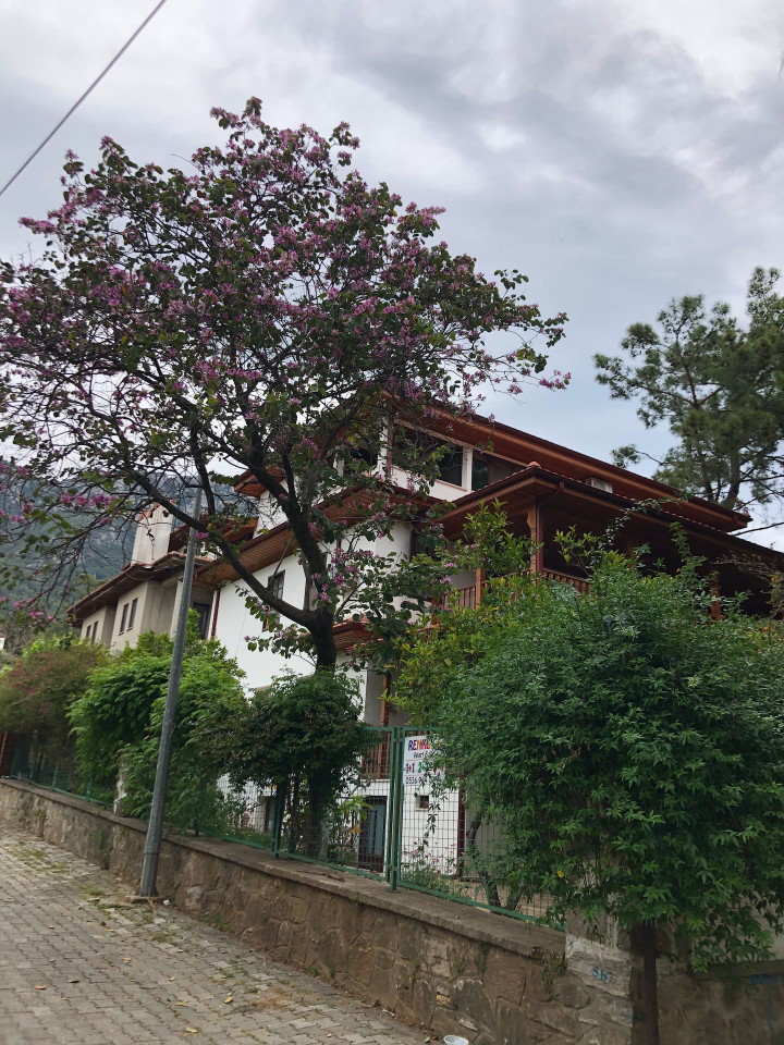 Akyaka Bahçe 1+1 - Muğla