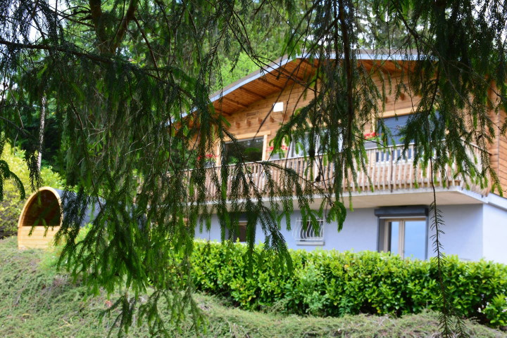 Chalet Bambi - La Bresse
