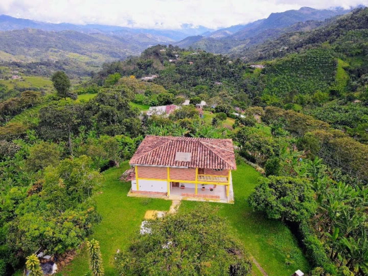 Beautiful House: Landscapes, Coffee Plantations, Birds, And Flowers - Andes