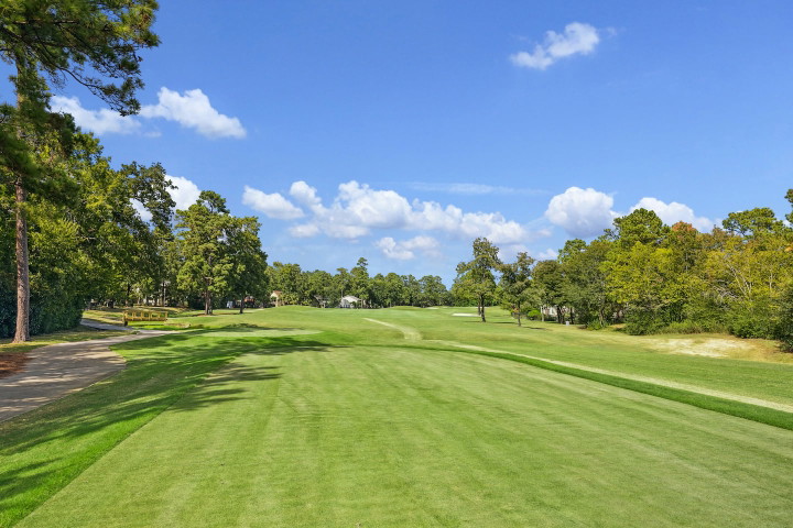 Golf Course Luxury Modern House In The Woodlands - The Woodlands, TX