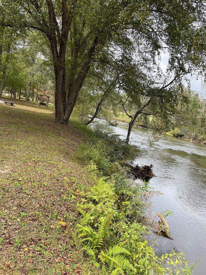 Guesthouse W/free Snacks & Private River Access - Blue Ridge, GA
