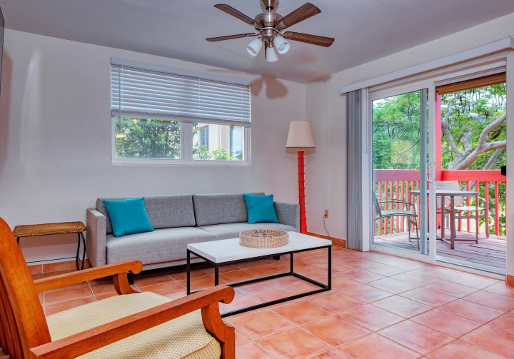Sea Pelican 1-bedroom Apt In Cruz Bay (A-1) - Saint Thomas