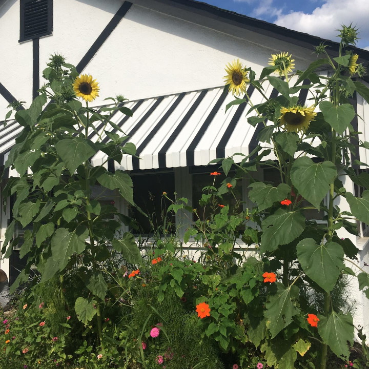Beach Bungalow - Long Beach, NY
